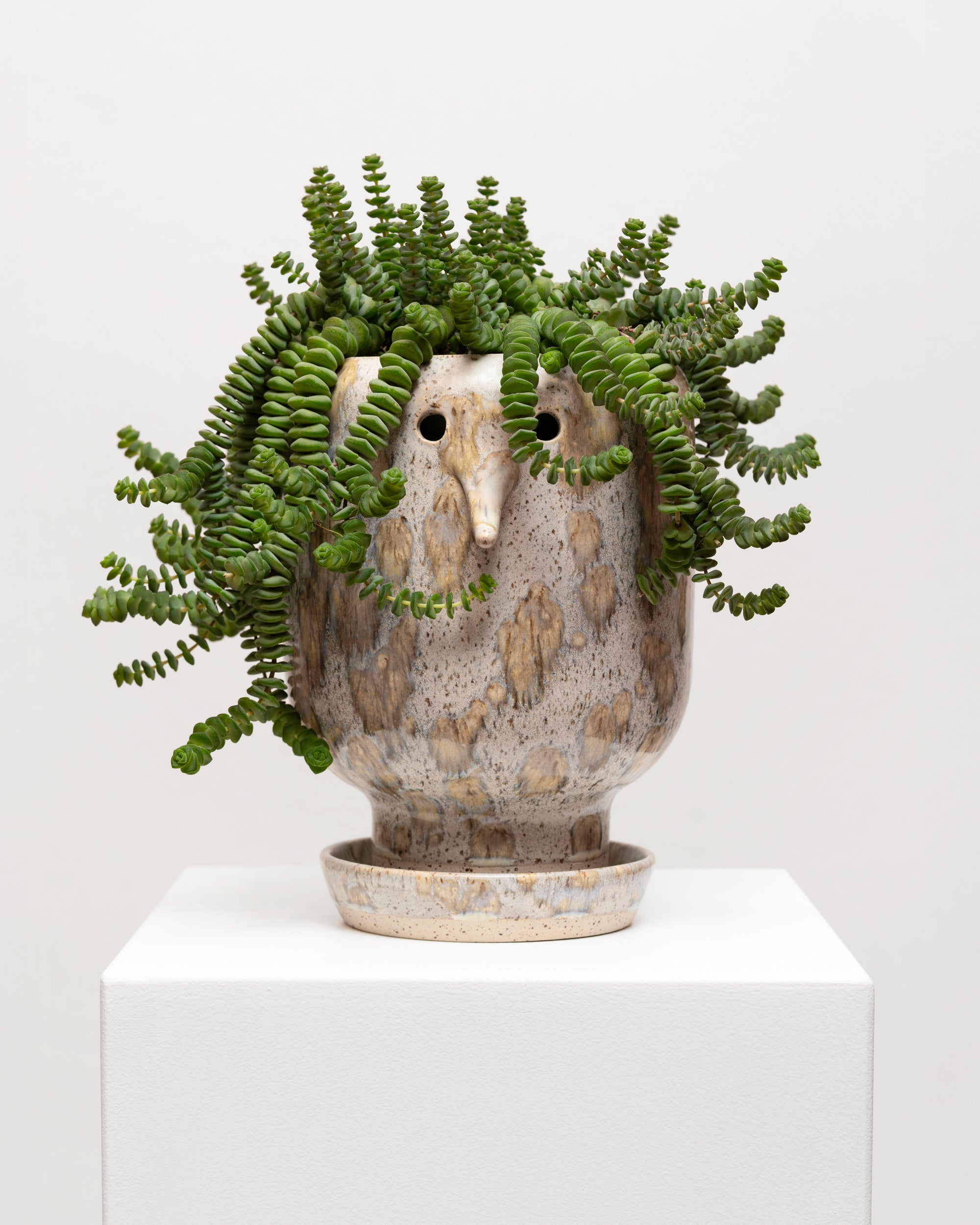 Wild Thing 1 – Calienna